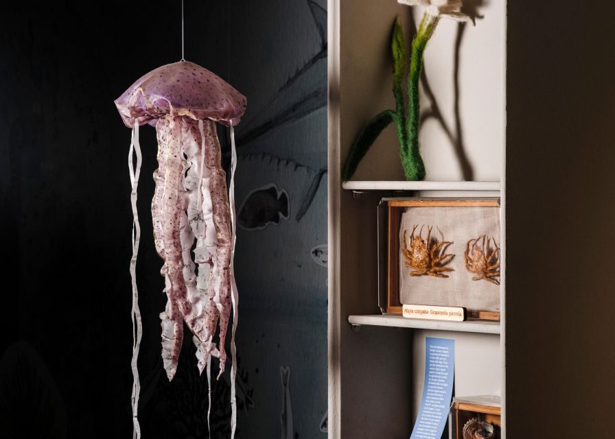 Palermo: sensorial experience of nature and ecology - The Experience: An In-Depth Look