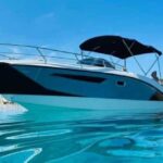 Palermo : Tour condiviso in barca con Aperitivo e Snorkeling - Who Will Love This Tour?