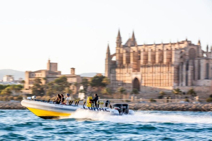 Palma Bay: Speedboat Discovery Tour - Value and Cost Analysis