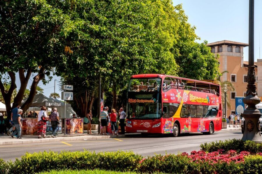 Palma de Mallorca: City Sightseeing Hop-On Hop-Off Bus Tour - Highlights: What Makes This Tour Stand Out?