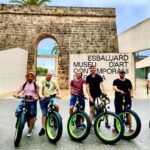 Palma de Mallorca: Exclusive Fat Tire e-Bike Rental - What to Expect from the Tour