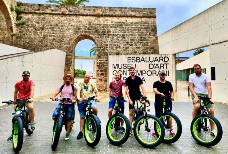 Palma de Mallorca: Exclusive Fat Tire e-Bike Rental - What to Expect from the Tour