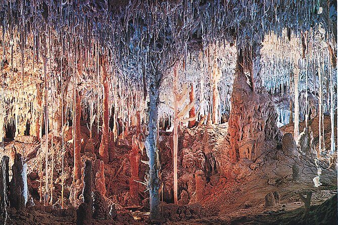 Palma de Mallorca Half-Day to Caves of Hams, Blue Cave and film - Transportation, Group Size, and Overall Value