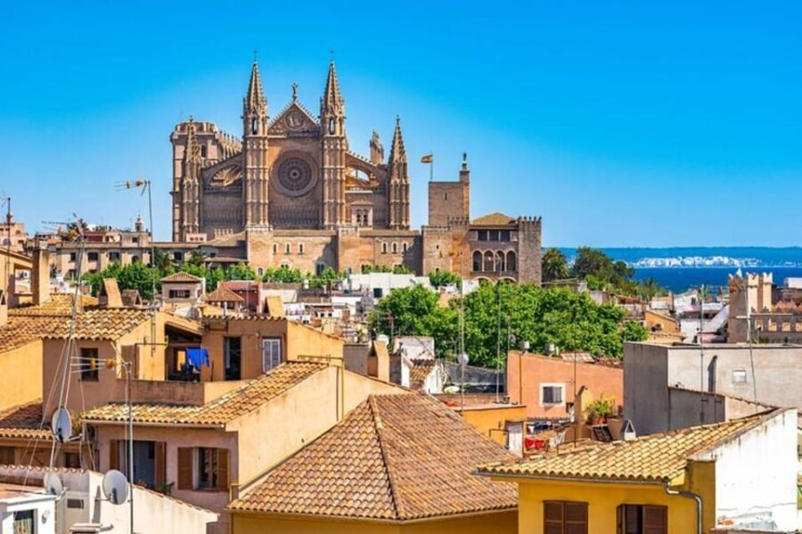 Palma de Mallorca: Private Custom Tour with a Local Guide - Who Is This Tour Best For?
