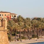 Palma de Mallorca Private Walking Tour with tour guide - The Experience: What Travelers Can Expect