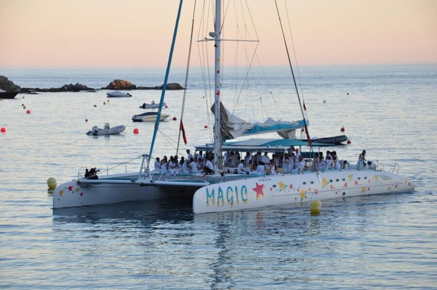 Palma de Mallorca: Sunset Sailing Catamaran Trip with Drink - Who Is This Tour Best For?