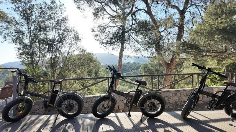 Palma: Electric Mountain Adventure: Ride Higher, Go Farther! - Itinerary Breakdown