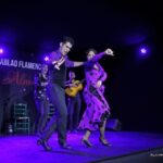 Palma: Flamenco Show at Tablao Flamenco Alma with Drink - The Experience and Its Value