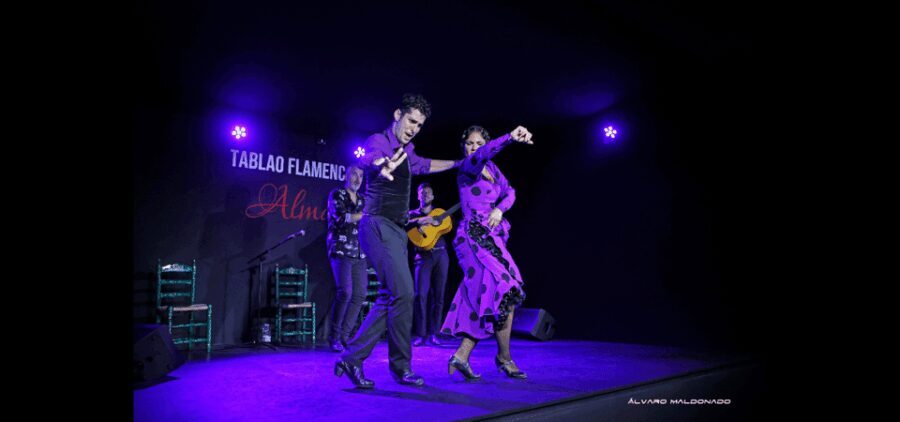 Palma: Flamenco Show at Tablao Flamenco Alma with Drink - The Experience and Its Value