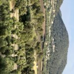 Palma: Orange Farm, Olive Mill, & Winery Tour with Tastings - Authenticity and Insightful Experience
