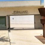 Palma - Private Historic Walking Tour - The Experience and What You’ll Love