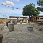 Palma: QI GONG at BODEGAS BORDOY - Why This Tour Is Worth Considering