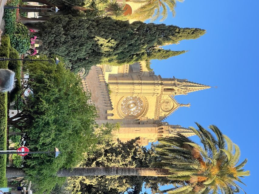Palmas sightseeing highlights in a private and exclusive way - Discovering Palma in Just Two Hours