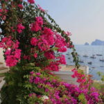 Panarea+Stromboli: boat excursion and snorkeling,departure from Lipari - Practical Details & Value