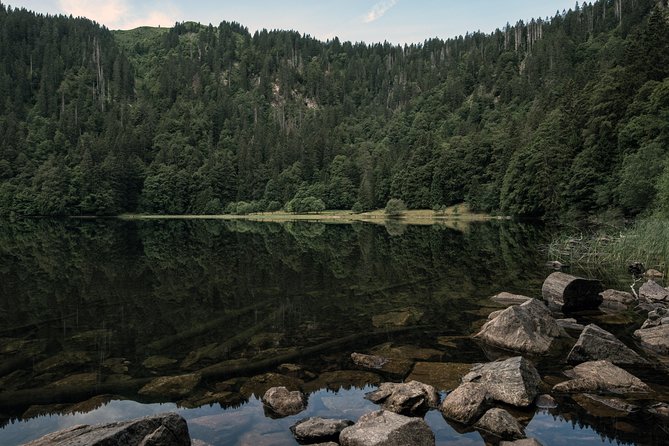 Panorama Hike through the Black Forest guided by a Local - Key Points