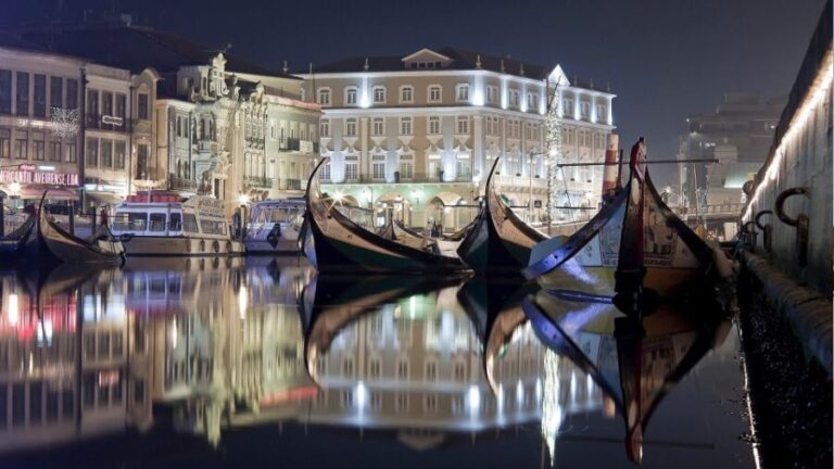 Panoramic Boat City Tour in Aveiro - A Detailed Look at the Aveiro Canal Tour