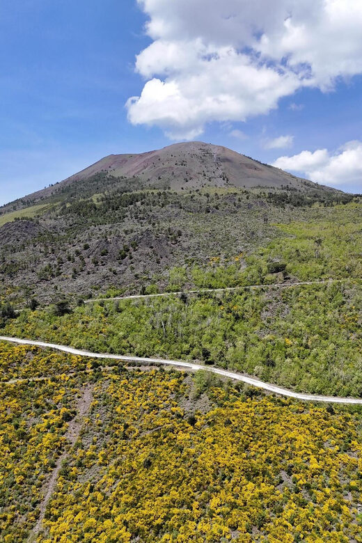 Panoramic path of Strada Matrone-Vesuvio - What’s Included & What’s Not