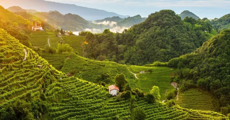 Panoramic Prosecco Tasting Tour From Padua - The Atmosphere & What It Means For You