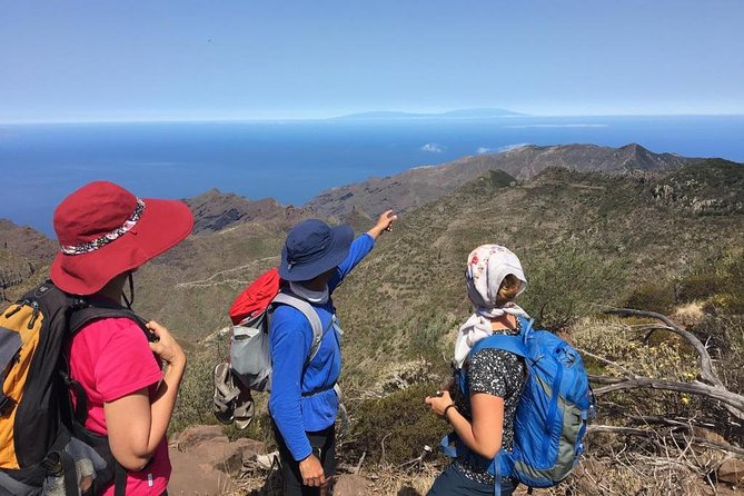 Panoramic route across the Teno rural Park in Tenerife - An Overview of the Experience