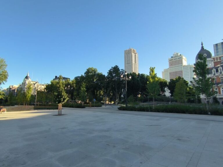 Panoramic Tour of Madrid with Private Guide and Private Car - Whats Included and What’s Not