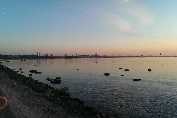 Panoramic tour over Tallinn by car - What Makes This Tour Stand Out