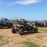 Paphos: Buggy Safari to Akamas Peninsula with Lunch - Exploring Lara Bay and Turtle Conservation