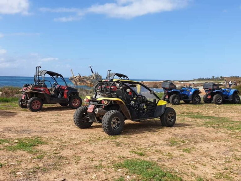 Paphos: Buggy Safari to Akamas Peninsula with Lunch - Exploring Lara Bay and Turtle Conservation