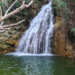 Paphos: Half Day Jeep Tour Akamas Peninsula (Private) - The Value of a Private Jeep Tour in the Akamas