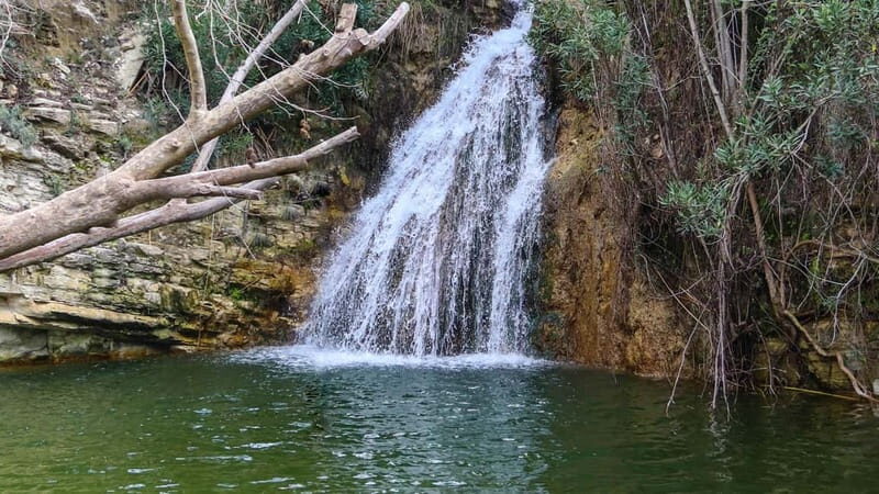 Paphos: Half Day Jeep Tour Akamas Peninsula (Private) - The Value of a Private Jeep Tour in the Akamas