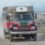 Paphos/Limassol: Donkey Farm Day Trip with Lunch & Tastings - The Real Value
