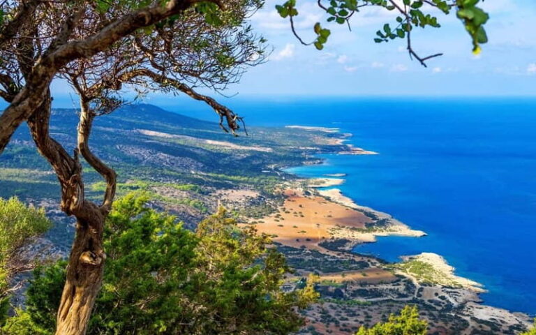 Paphos: Private Jeep Bath of Aphrodite including Waterfalls - The Limestone Sea Caves of Peyia