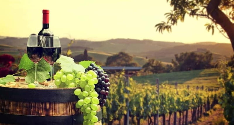 Paphos: Private Wine Tour with Tastings and Winery Visits - The Experience Worth Noting