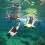 Paphos: Turtle-Watching Snorkeling Sea Scooter Trip - The Practical Side: Value and Logistics