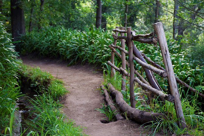 Paradise Valley Beauty Walk - Introduction: A Scenic Journey for Nature Lovers