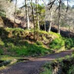 Paradise Valley half-day morning walk. - Whats Included and What You Should Know