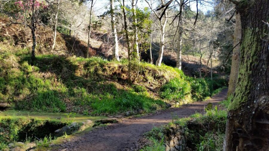 Paradise Valley half-day morning walk. - Whats Included and What You Should Know