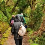 Paradise Valley Madeira Island Walk - Why the Positive Reviews Matter