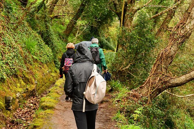 Paradise Valley Madeira Island Walk - Why the Positive Reviews Matter