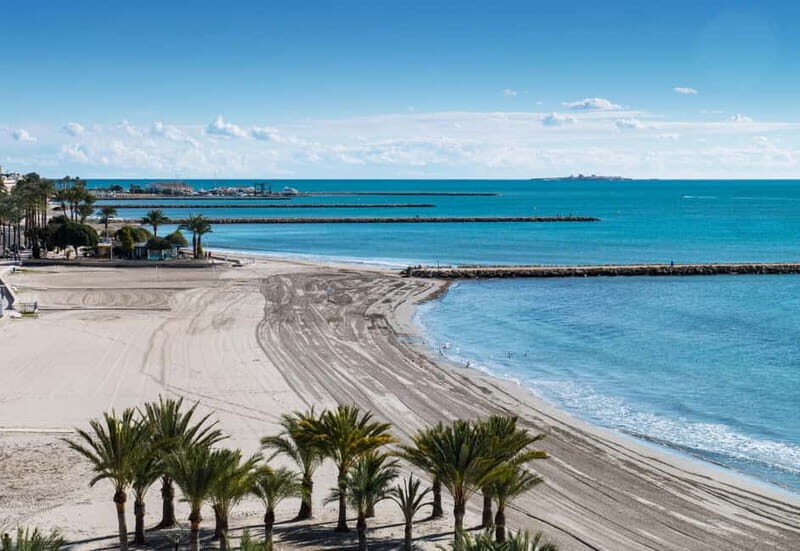 Paragliding adventure in Santa Pola from Alicante, including pick-up in a van. - An Authentic, Well-Organized Paragliding Experience
