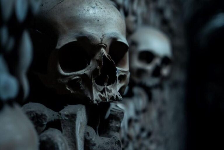 Paris: Catacombs, Audio Guide, and River Cruise Option - Practicalities and Logistics for the Catacombs