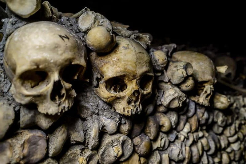 Paris: Catacombs Ticket and Audio Guide - What’s Included and What’s Not