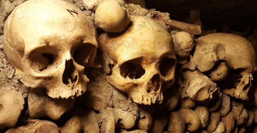 Paris: Catacombs Ticket and Seine River Cruise - What to Expect: The Details Matter