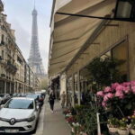 Paris: Centre City Walking Tour - What Travelers Say