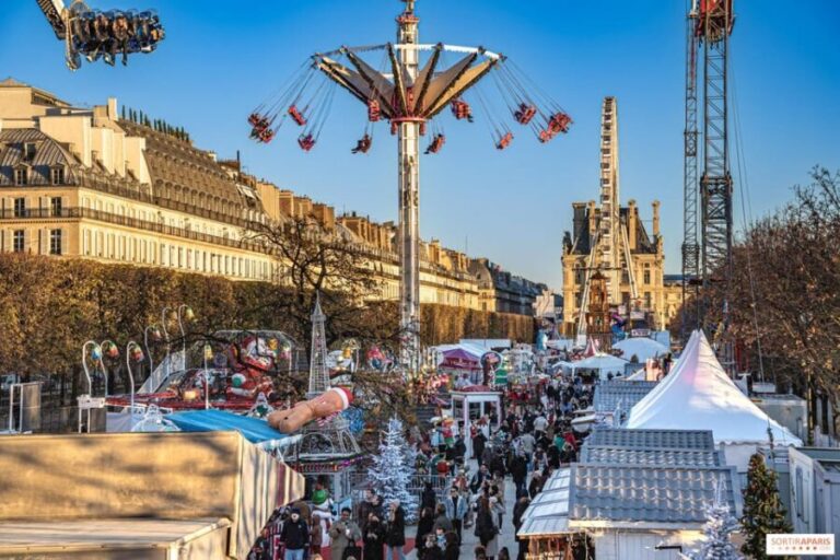 Paris: Christmas Private City Tour by Car - What’s Included and What’s Not