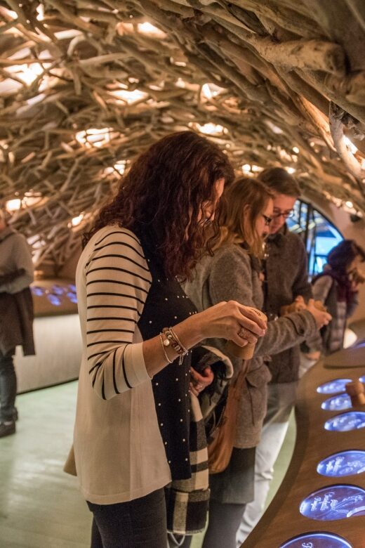 Paris: French Wine Experience in Parisian Cellar - An In-Depth Look at the Parisian Wine Tour