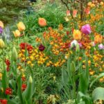 Paris: Giverny Private Half-Day Trip to Monet's Garden - Practical Tips for Travelers