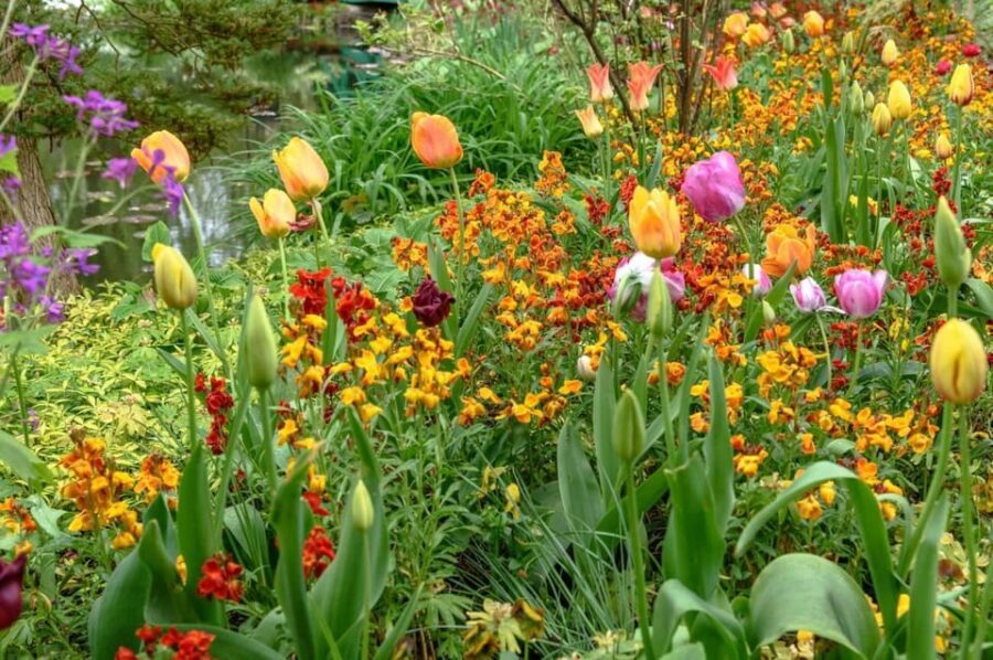 Paris: Giverny Private Half-Day Trip to Monet's Garden - Practical Tips for Travelers
