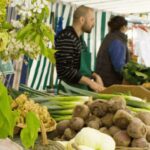 Paris Gourmet Food Tour: A local delicacies culinary journey - A Taste of Parisian Casual Dining and Traditional Cheeses