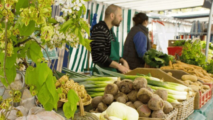 Paris Gourmet Food Tour: A local delicacies culinary journey - A Taste of Parisian Casual Dining and Traditional Cheeses