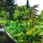 Paris: Jardin d'Acclimatation 1-Day Unlimited Pass - What You Can Expect: Attractions and Atmosphere